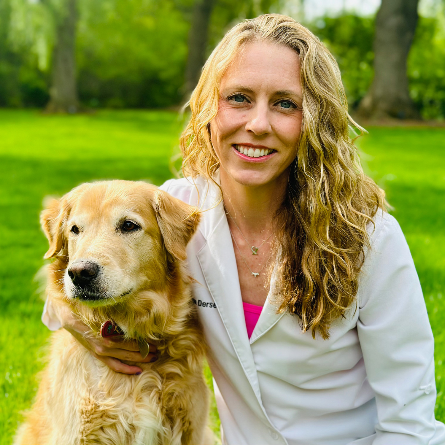 Home - VetMedic | Libertyville, IL